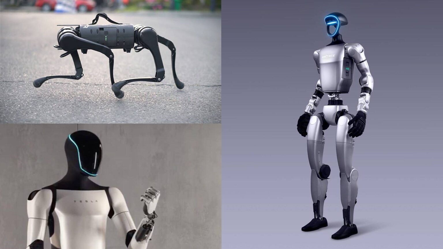 Flexible Bearing Types And Applications - LKPB BEARING